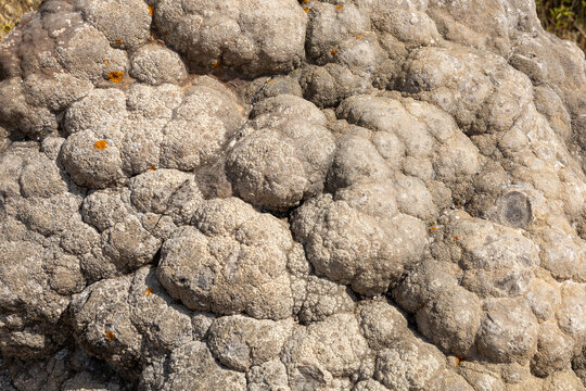 รูปภาพLithification – เลือกดูภาพถ่ายสต็อก เวกเตอร์ และวิดีโอ156 | Adobe Stock