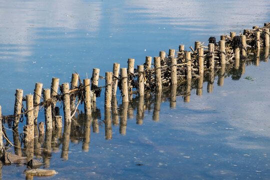 Fascine bilder – Bläddra bland 403 stockfoton, vektorer och videor ...