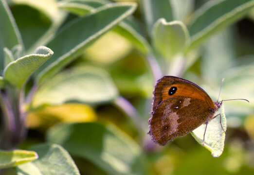 Gatekeeper Images – Browse 2,561 Stock Photos, Vectors, and Video ...