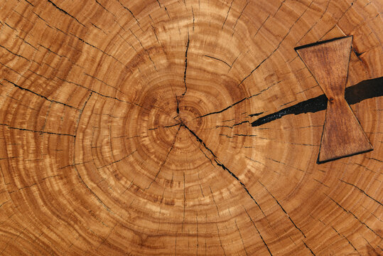 "Natural Wood Background" Images – Browse 381 Stock Photos, Vectors, and Video | Adobe Stock