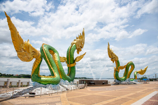 รูปภาพLamduan – เลือกดูภาพถ่ายสต็อก เวกเตอร์ และวิดีโอ231 | Adobe Stock