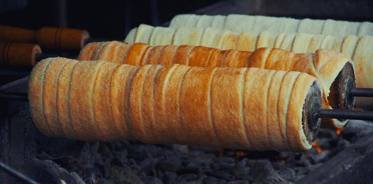 「Kurtos」の写真素材 | 489件の無料イラスト画像 | Adobe Stock