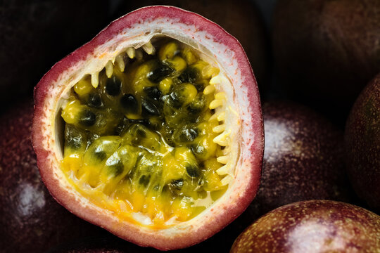 Fruchtfleisch 影像 – 瀏覽 10,045 個素材庫相片、向量圖和影片 | Adobe Stock