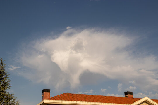 รูปภาพRara – เลือกดูภาพถ่ายสต็อก เวกเตอร์ และวิดีโอ1,744 | Adobe Stock