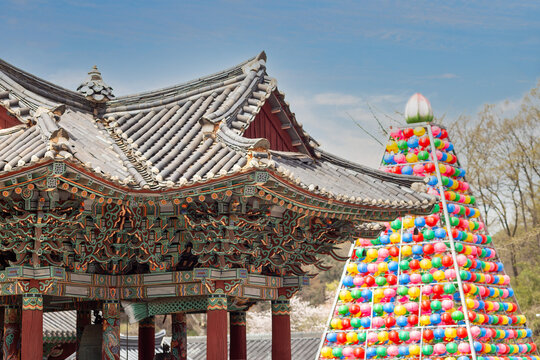 Tiburio Bilder – Durchsuchen 2,561 Archivfotos, Vektorgrafiken und ...