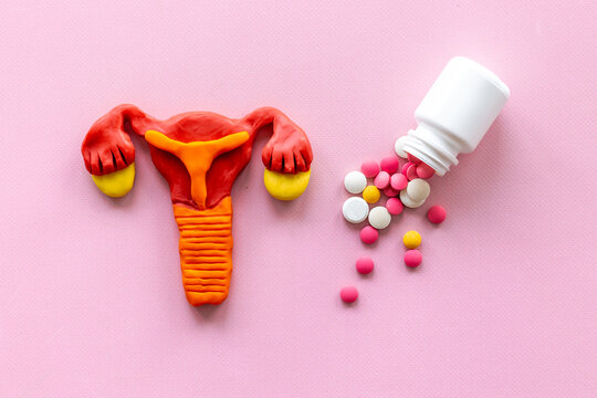 Ovaries bilder – Bläddra bland 35,376 stockfoton, vektorer och videor ...