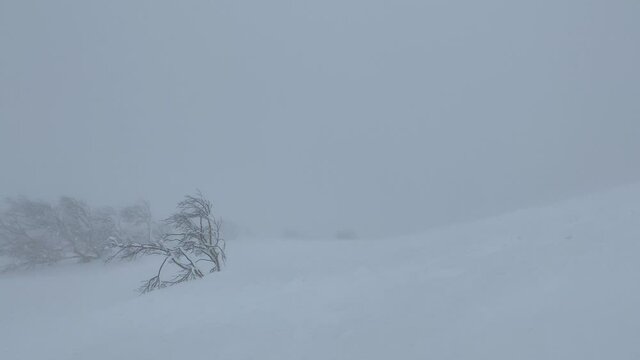 Whiteout Images – Browse 9,854 Stock Photos, Vectors, and Video | Adobe ...