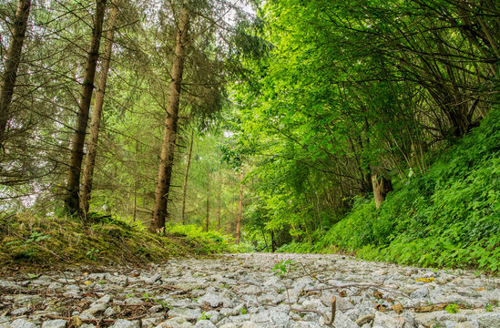 Klim Bilder – Durchsuchen 2,400 Archivfotos, Vektorgrafiken und Videos ...