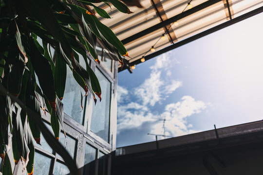 5,558 BEST Morning Light Through Window IMAGES, STOCK PHOTOS & VECTORS ...