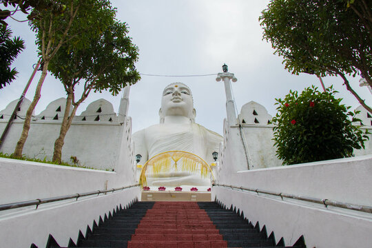 Bahirawa Images – Browse 57 Stock Photos, Vectors, and Video | Adobe Stock