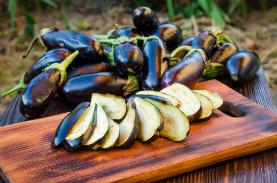 Lengthwise Images – Browse 44,504 Stock Photos, Vectors, and Video ...