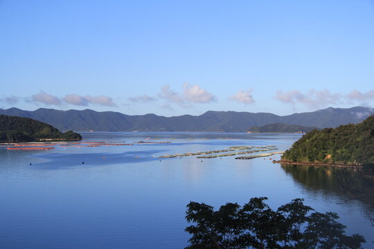 รูปภาพAmami – เลือกดูภาพถ่ายสต็อก เวกเตอร์ และวิดีโอ1,752 | Adobe Stock