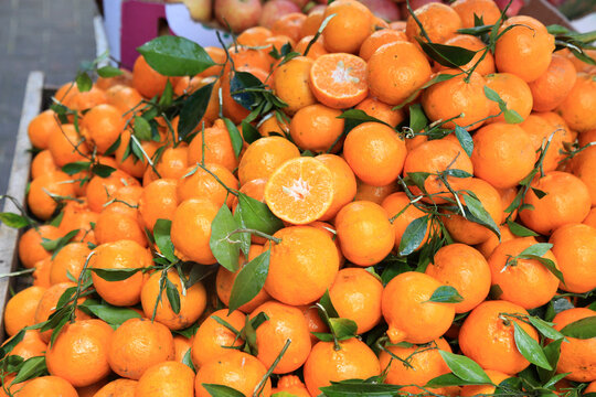 Imágenes de Pokan: descubre bancos de fotos, ilustraciones, vectores y ...