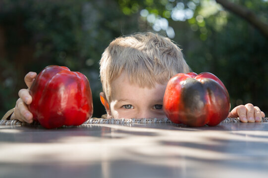 Furtively Images – Browse 602 Stock Photos, Vectors, and Video | Adobe ...