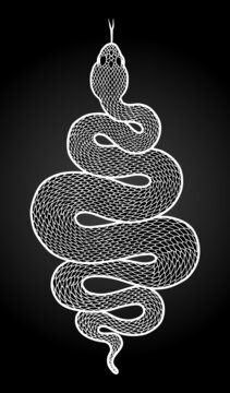 Coiled Snake Drawing Images – Browse 4,072 Stock Photos, Vectors, and ...