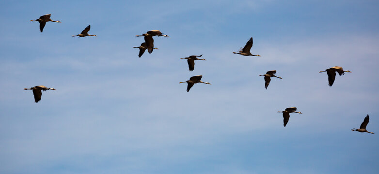 Schnacke Bilder – Durchsuchen 6,409 Archivfotos, Vektorgrafiken und ...