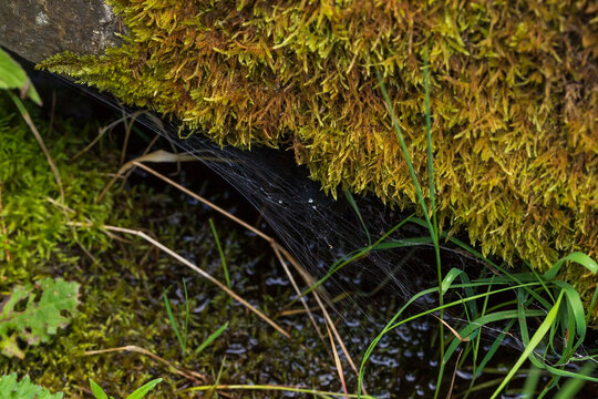 Ferity Bilder – Durchsuchen 147 Archivfotos, Vektorgrafiken und Videos ...