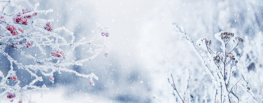 Free Winter Images – Browse 32,282 Free Stock Photos, Vectors, and ...