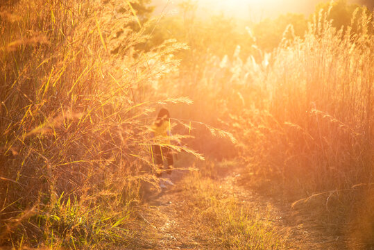 306,014 IMAGES, PHOTOS ET ILLUSTRATIONS VECTORIELLES STOCK APPROPRIÉES ...