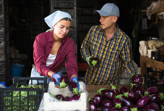 รูปภาพSoring – เลือกดูภาพถ่ายสต็อก เวกเตอร์ และวิดีโอ314,103 | Adobe Stock