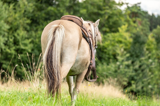 5 BEST Unseated IMAGES, STOCK PHOTOS & VECTORS | Adobe Stock