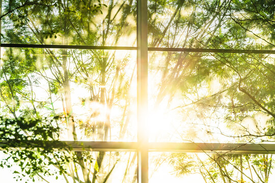 5,558 BEST Morning Light Through Window IMAGES, STOCK PHOTOS & VECTORS ...