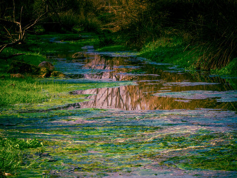รูปภาพRiachuelo – เลือกดูภาพถ่ายสต็อก เวกเตอร์ และวิดีโอ2,563 | Adobe Stock