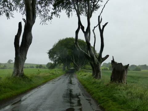 「Hayas」の画像 - 1,299 件の Stock 写真、ベクターおよびビデオ | Adobe Stock