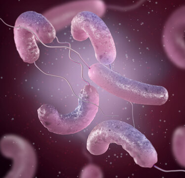 Vibrionaceae Images – Browse 110 Stock Photos, Vectors, and Video ...