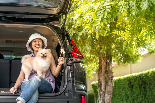 pdsci photos, images, assets | Adobe Stock