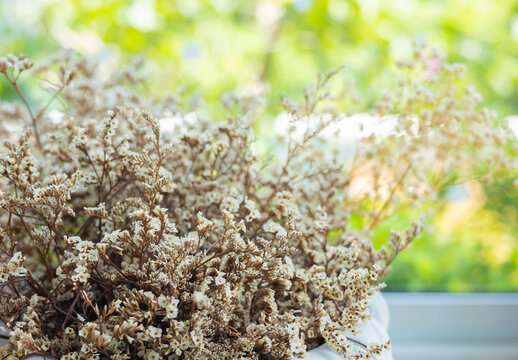 Beautifulness 画像 - 参照 396 Stock 写真、ベクターおよびビデオ | Adobe Stock