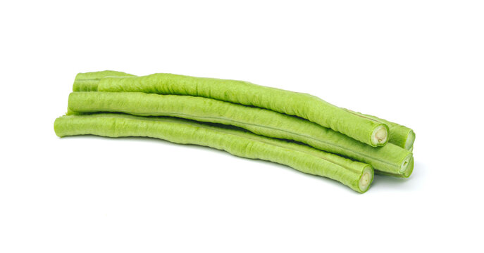 Borboti Images – Browse 56 Stock Photos, Vectors, and Video | Adobe Stock