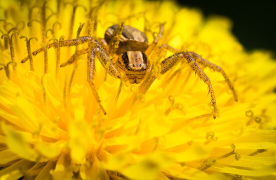 Noga Images – Parcourir 3,392 le catalogue de photos, vecteurs et ...