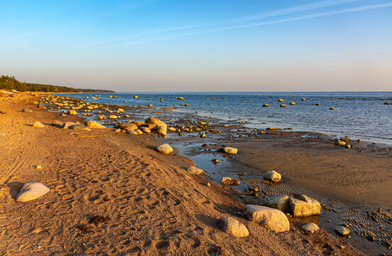 Komarovo Bilder – Durchsuchen 316 Archivfotos, Vektorgrafiken und ...