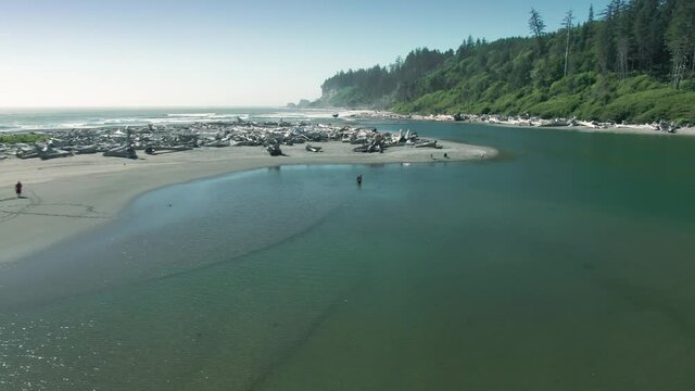 Quinault Imagens – Procure 475 fotos, vetores e vídeos | Adobe Stock