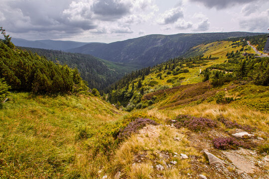 Spind bilder – Bläddra bland 388 stockfoton, vektorer och videor ...