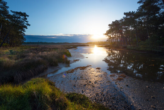 thierry faula photos, images, assets | Adobe Stock