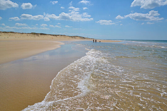 Bouverie Images – Browse 7 Stock Photos, Vectors, and Video | Adobe Stock