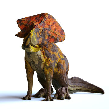 「Protoceratopsidae」の画像 - 27 件の Stock 写真、ベクターおよびビデオ | Adobe Stock