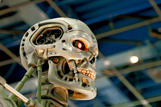 Terminator Robot Skull