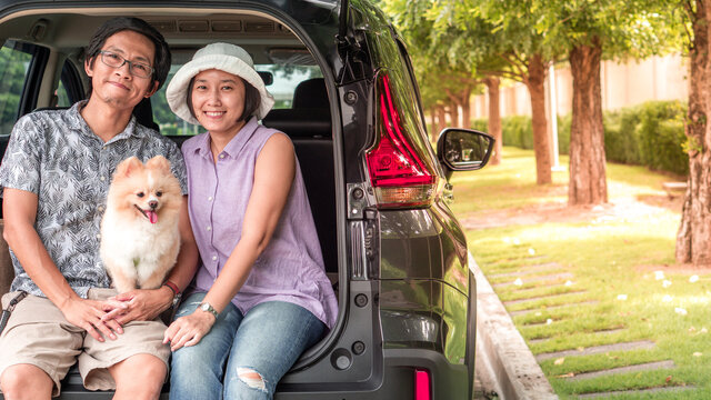 pdsci photos, images, assets | Adobe Stock