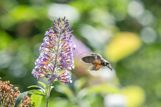 Probing Images – Browse 199,140 Stock Photos, Vectors, and Video ...