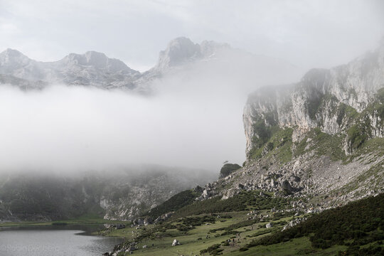Niebla 画像 - 参照 21,577 Stock 写真、ベクターおよびビデオ | Adobe Stock