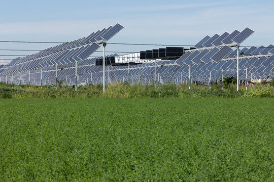 Agrivoltaics Images – Browse 60 Stock Photos, Vectors, and Video ...