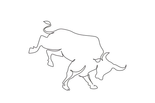 Bucking Bull Drawing