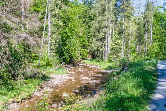 Wiselka Images – Browse 58 Stock Photos, Vectors, and Video | Adobe Stock
