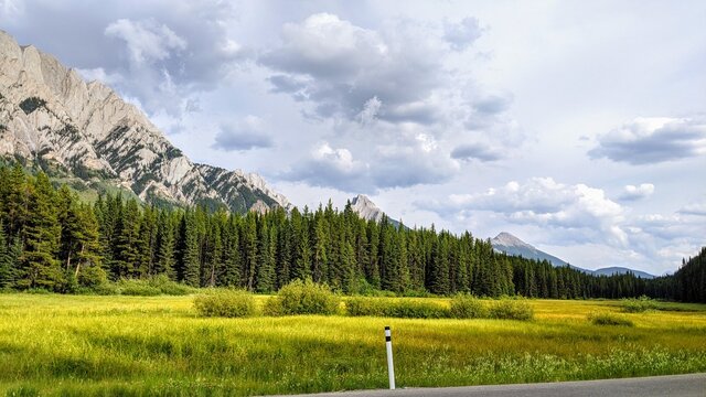 Medows Bilder – Durchsuchen 393 Archivfotos, Vektorgrafiken und Videos ...