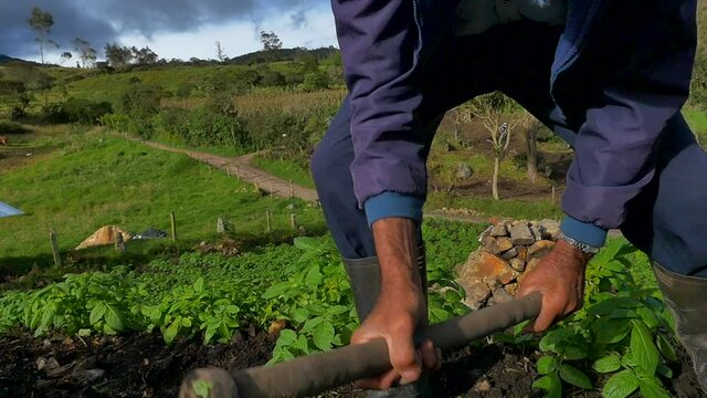 "Mixed Farming"-Bilder: Stock-Fotos & -Videos. | Adobe Stock