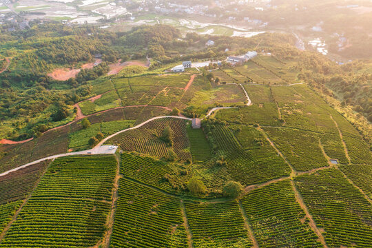 Chadao Bilder – Durchsuchen 285 Archivfotos, Vektorgrafiken und Videos ...