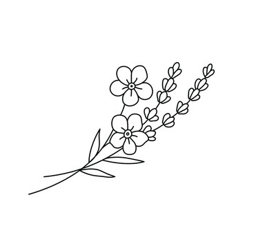 Traceable Flower Images - Home Alqu